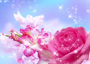 Rose and gladiolus blossom stock illustration. Illustration of daylight ...