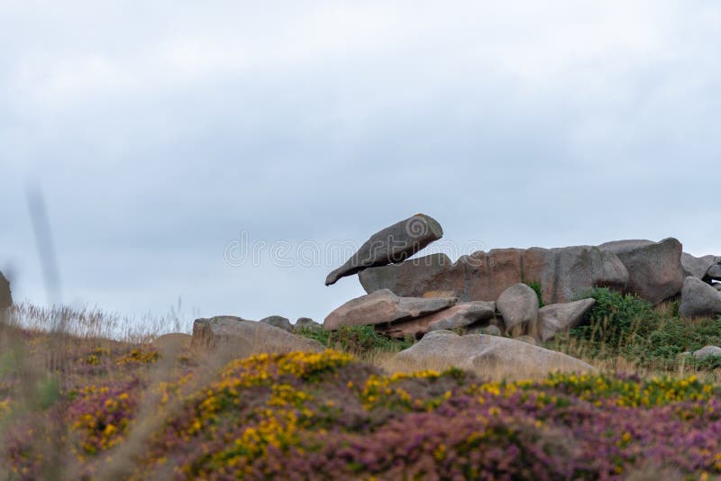 Rose granite coast stock photo. Image of granite, heather - 135546732