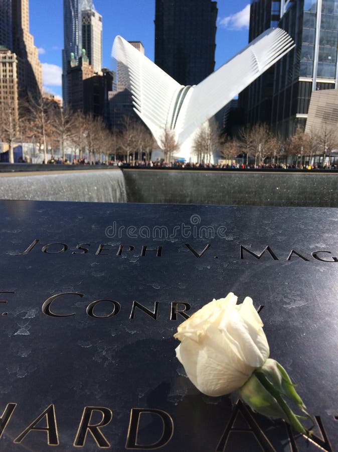 Rose in Ground Zero editorial photo. Image of downtown - 123241431