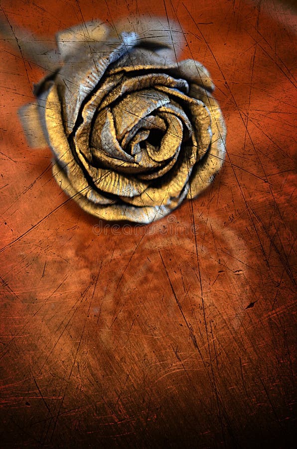 Rose. Grunge image. stock photo. Image of forgings, reflection - 28838290
