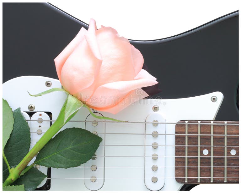 Rose guitar stock photo. Image of music, electric, perform - 16015268