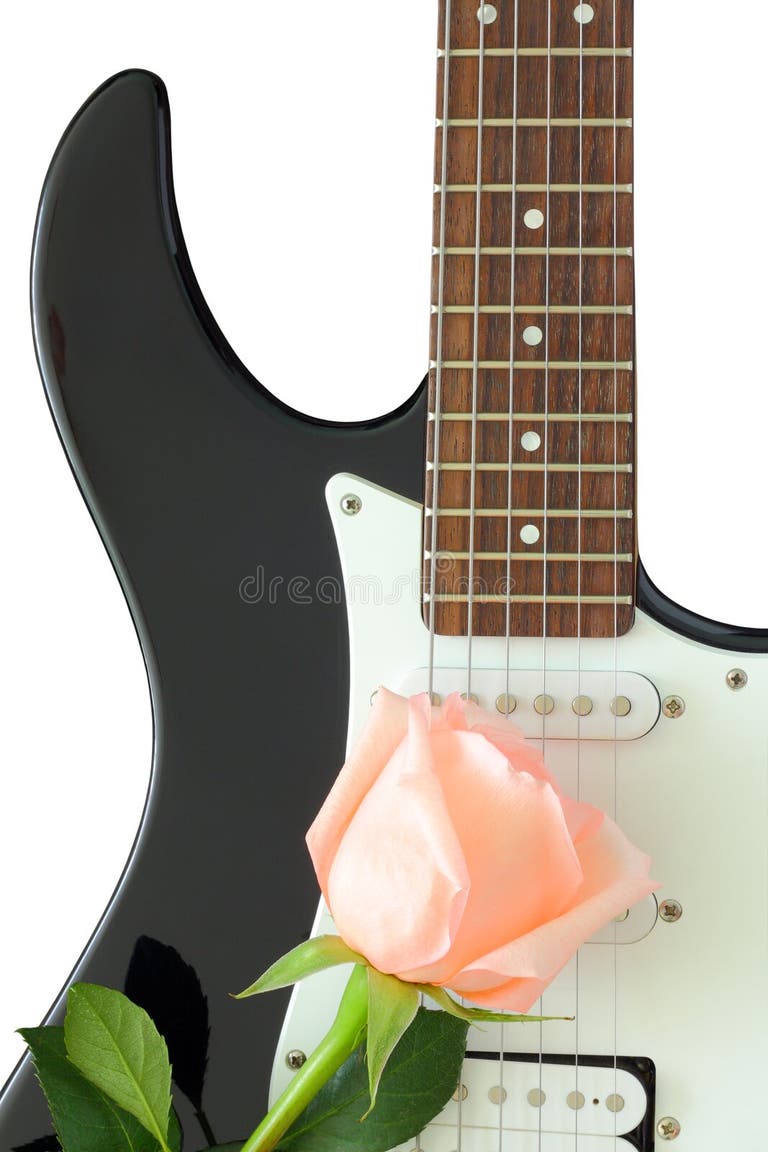 1,589 Guitar Rose Stock Photos - Free & Royalty-Free Stock Photos from ...