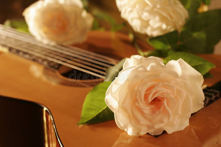 Rose guitar stock image. Image of leaves, rose, noise, white - 796483