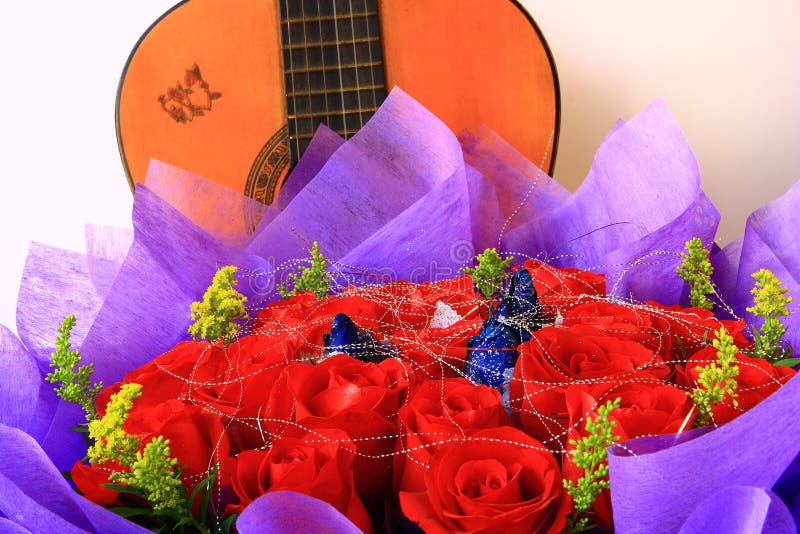 Rose with Guitar stock image. Image of flora, roses, beautiful - 8205133