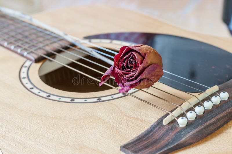 Guitar and Flowers stock image. Image of elegance, guitar - 4054279
