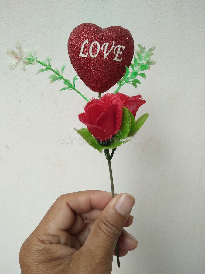 Rose and hand stock image. Image of petal, floristry - 84699757