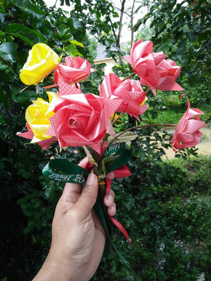 Rose and hand stock image. Image of rose, yellow, present - 84717797