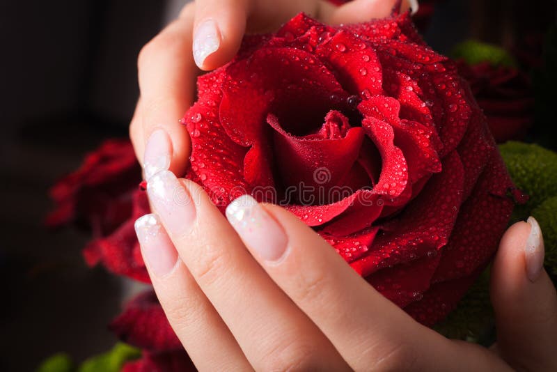 Rose in hands stock photo. Image of flower, beautiful - 28645380