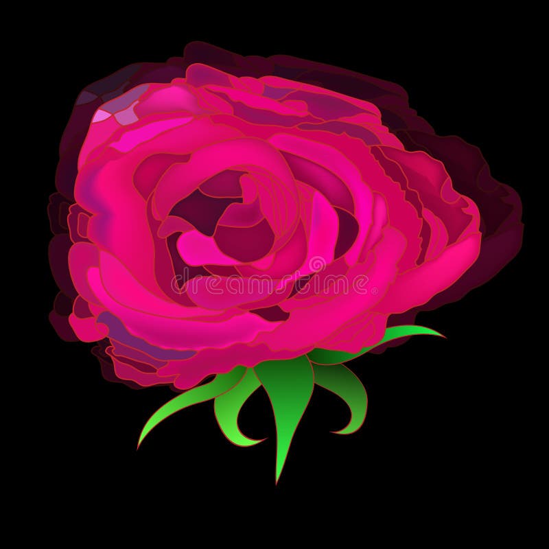 Red rose head stock vector. Illustration of petal, leaf - 30299310