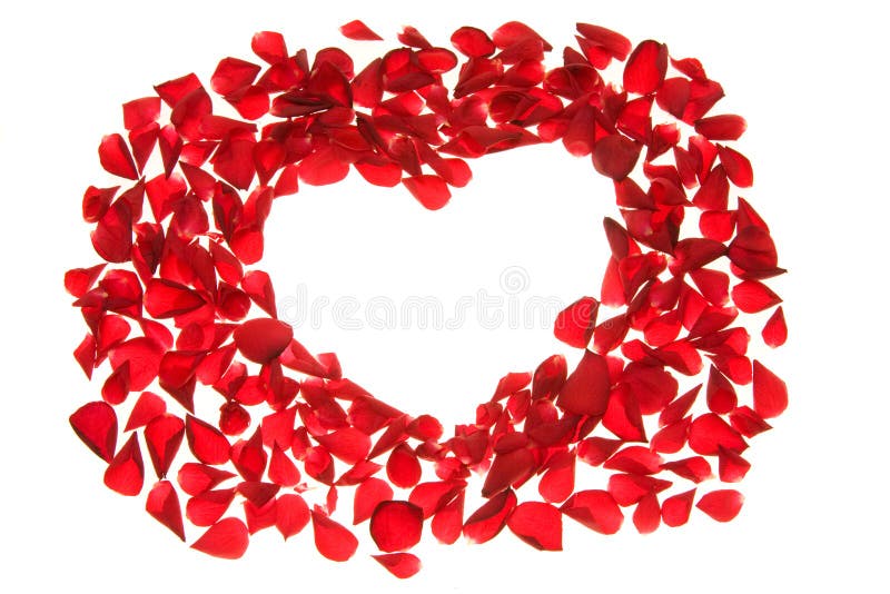 Rose heart stock photo. Image of heart, text, nature, love - 3540714