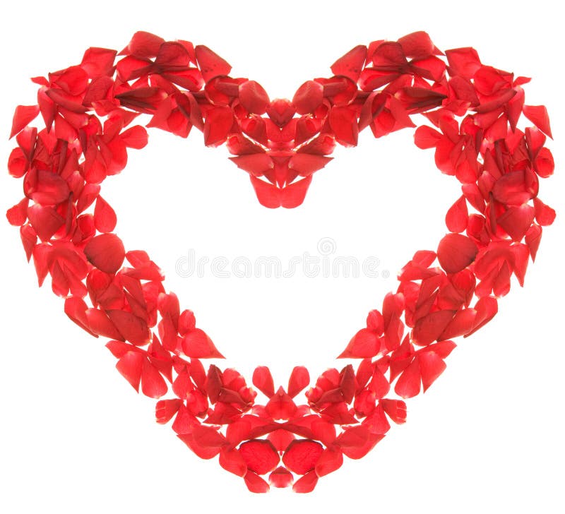 Rose heart stock image. Image of rose, hearts, composition - 3541143