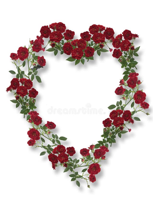 Red Rose Frame in the Shape of Heart on White. Stock Illustration ...