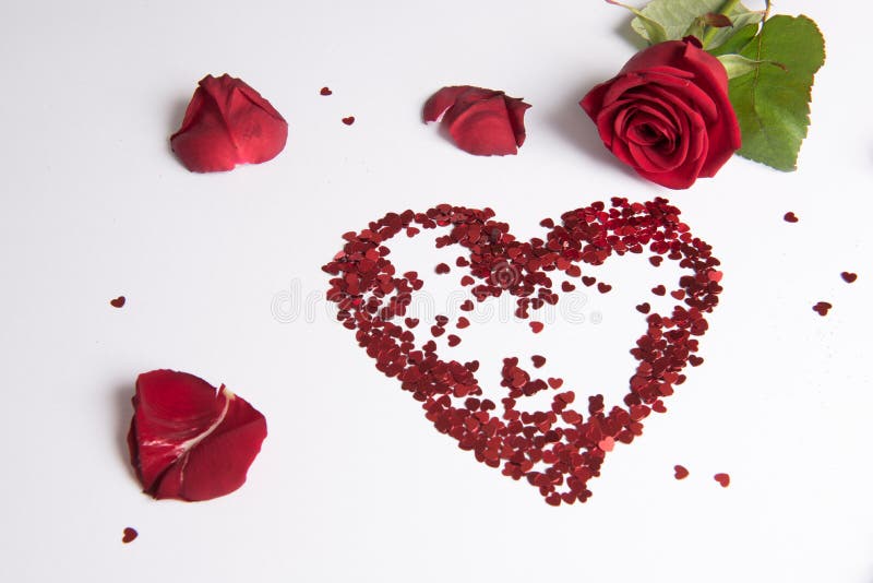 Rose and Heart of Hearts As Love Sign Stock Image - Image of gift ...