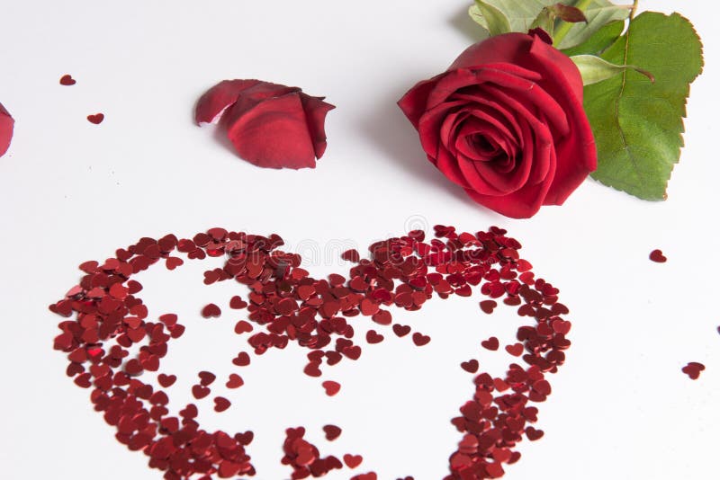 Rose and Heart of Hearts As Love Sign Stock Photo - Image of rose, gift ...