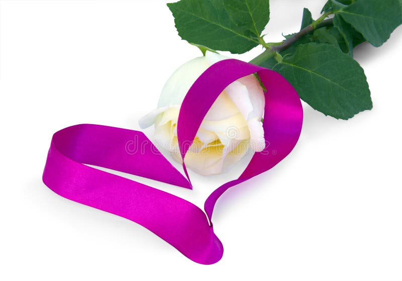 Rose with Heart from a Ribbon Stock Image - Image of rose, selective ...