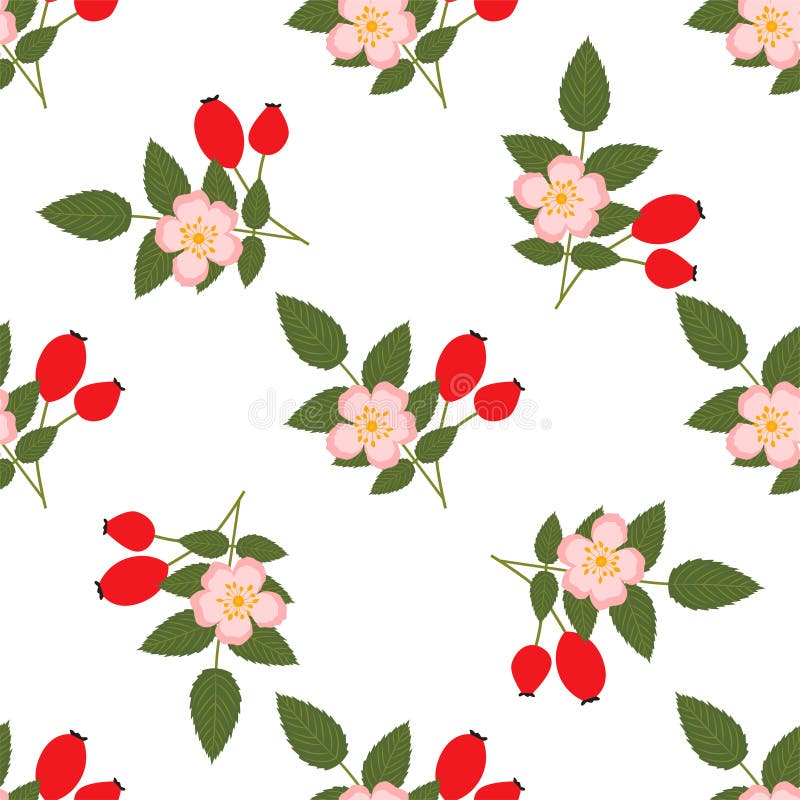 Rose Hip. Seamless Vector Patterns Stock Vector - Illustration of ...