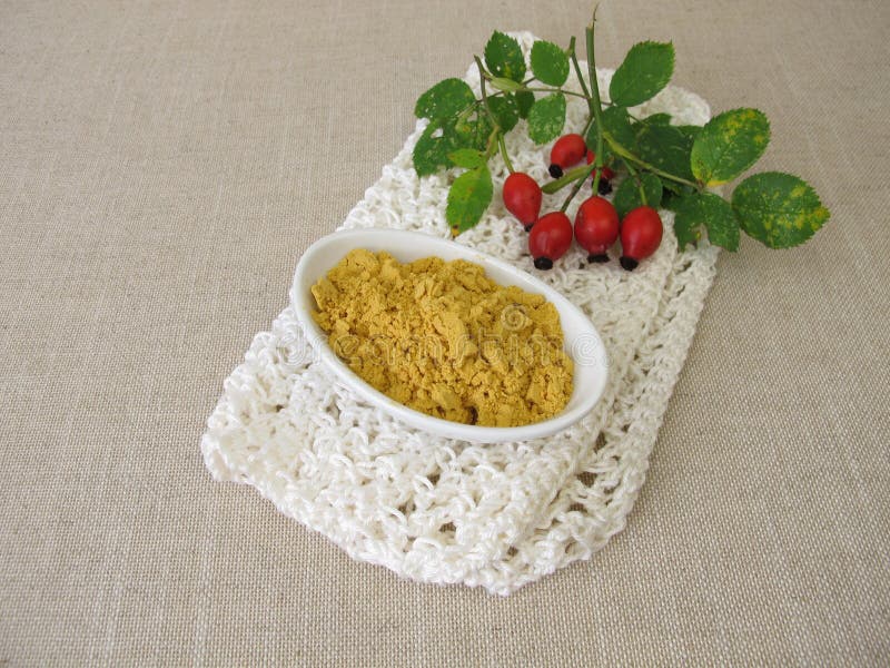 Rose Hip Powder from the Rose Hips of the Wild Rose Stock Photo - Image ...