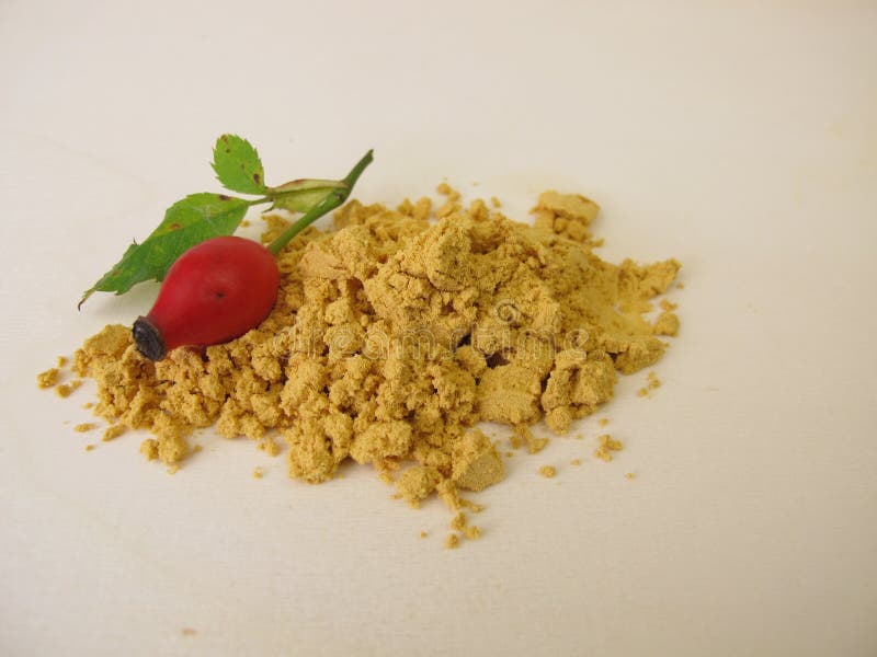 Rose Hip Seed Powder from the Dog Rose Stock Photo - Image of rose ...