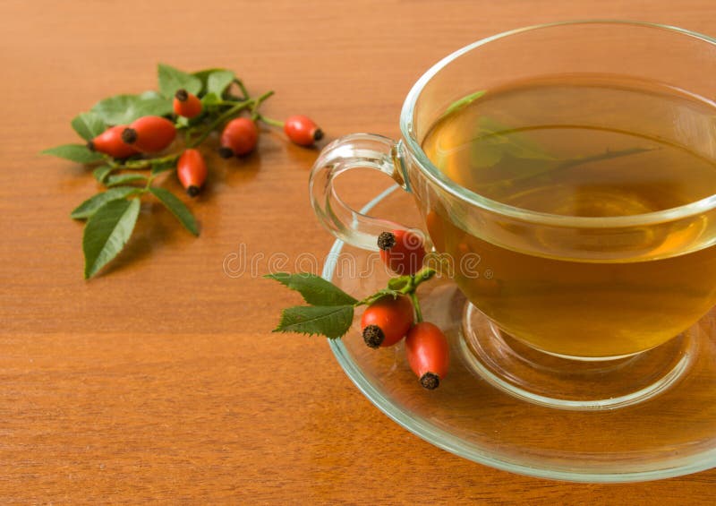 Rose hip tea stock photo. Image of rose, fruit, medicine - 11124730