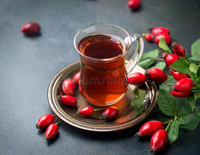 Rose Hip Tea and Fresh Rose Hips Stock Illustration - Illustration of ...