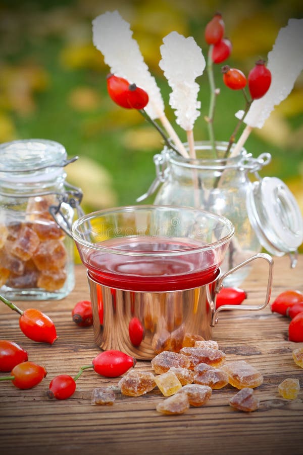 Rose Hip Tea on Garden Table Stock Photo - Image of copy, candy: 34993114