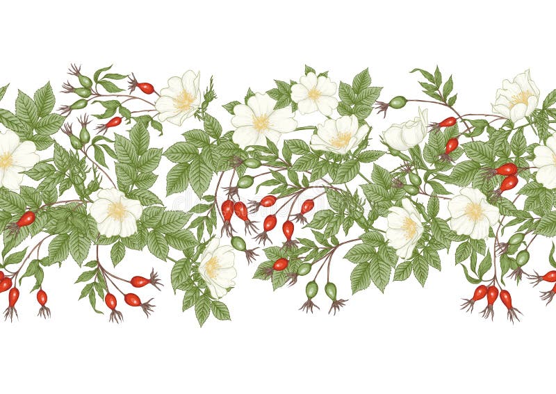 Rose Hips with Flowers and Berries Seamless Pattern Stock Vector ...