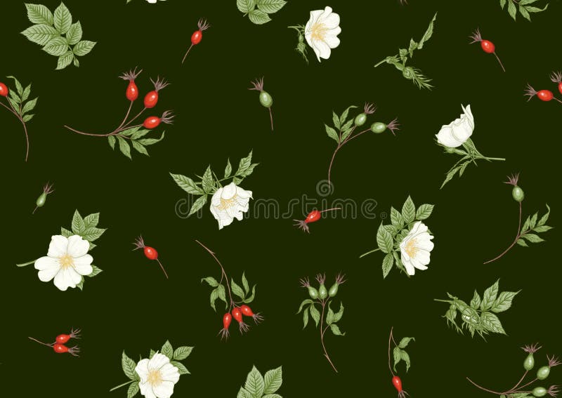 Rose Hips with Flowers and Berries Seamless Pattern Stock Photo - Image ...
