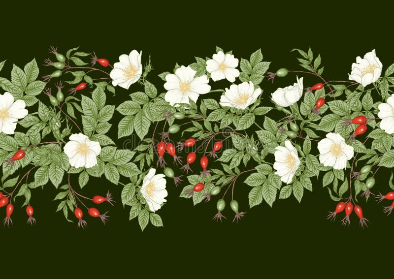 Rose Hips with Flowers and Berries Seamless Pattern Stock Photo - Image ...