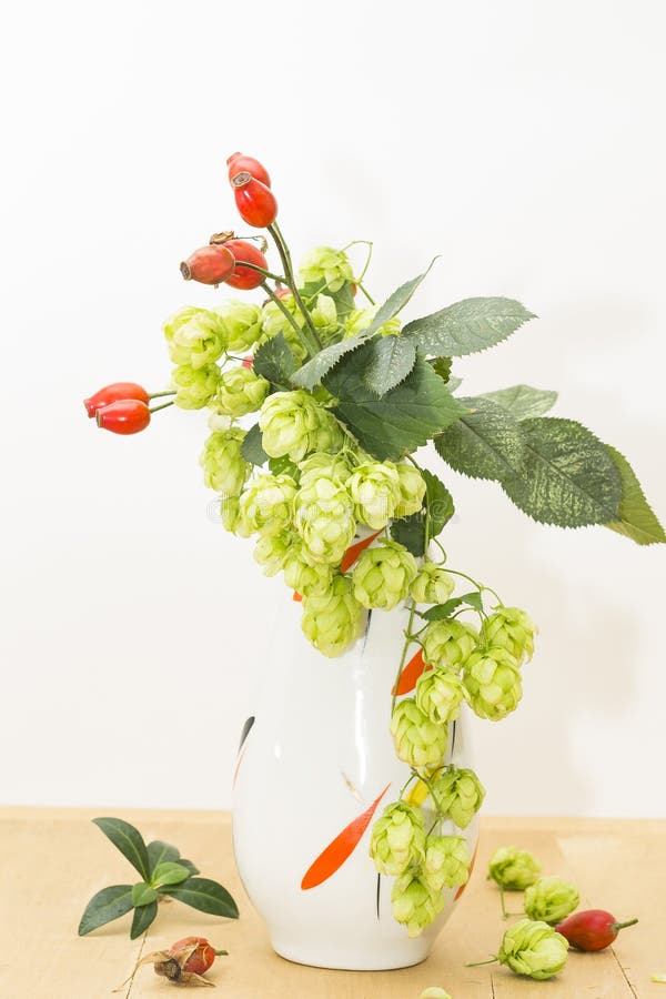 Rose Hips and Hops in a White Vase Stock Photo - Image of arrangement ...
