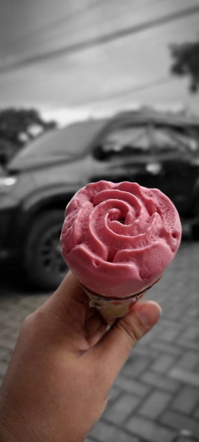 Rose ice cream stock photo. Image of lucky, cold, pink - 261784290