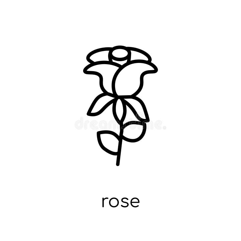 Rose Icon. Trendy Modern Flat Linear Vector Rose Icon on White B Stock ...