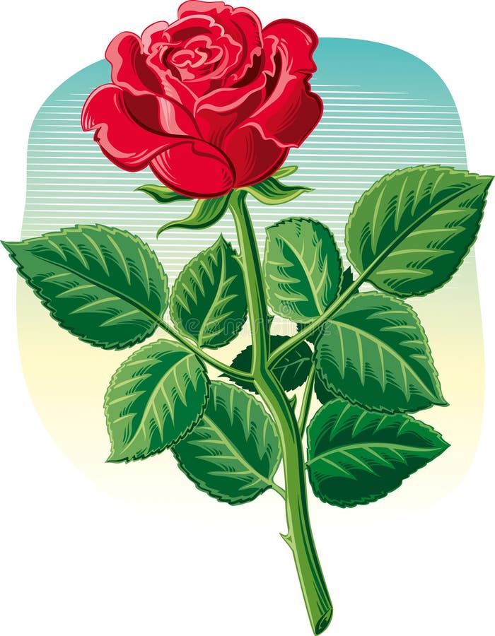 Rose Stem Stock Illustrations – 14,697 Rose Stem Stock Illustrations ...
