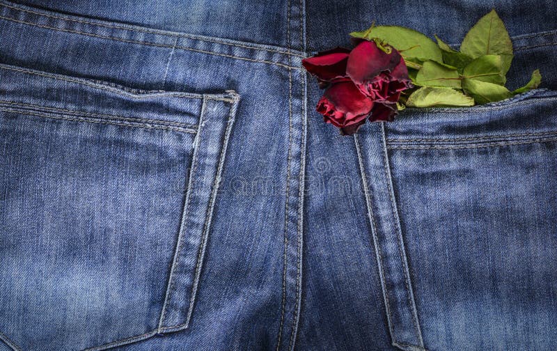 Rose in jeans pocket stock photo. Image of valentines - 86238578