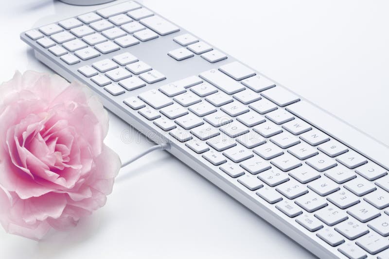 Rose and keyboard computer stock image. Image of banner - 85179091