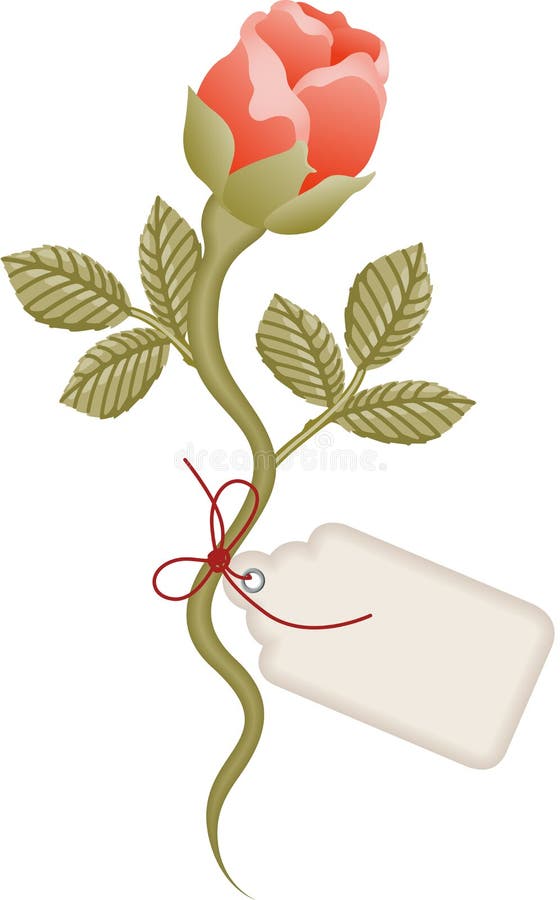 Rose with label tag stock vector. Illustration of decoration - 56327548