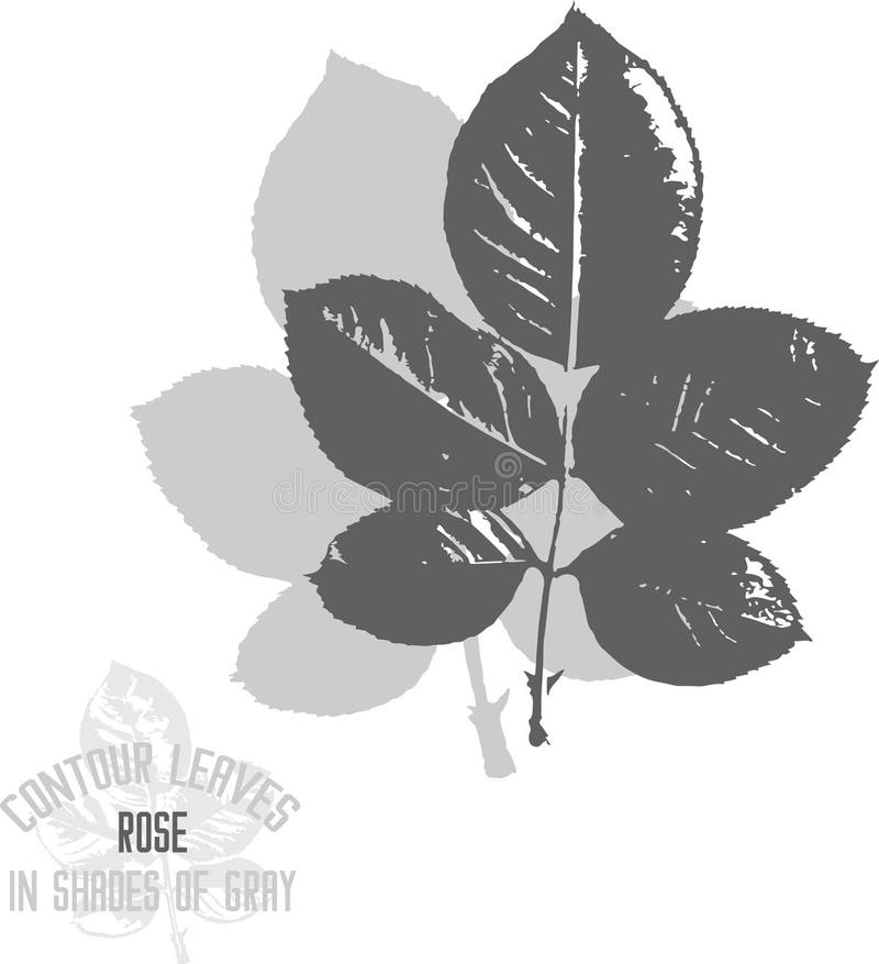 Further Color Application Stock Illustrations – 93 Further Color ... Further Color Application Stock Illustrations – 93 Further Color ...