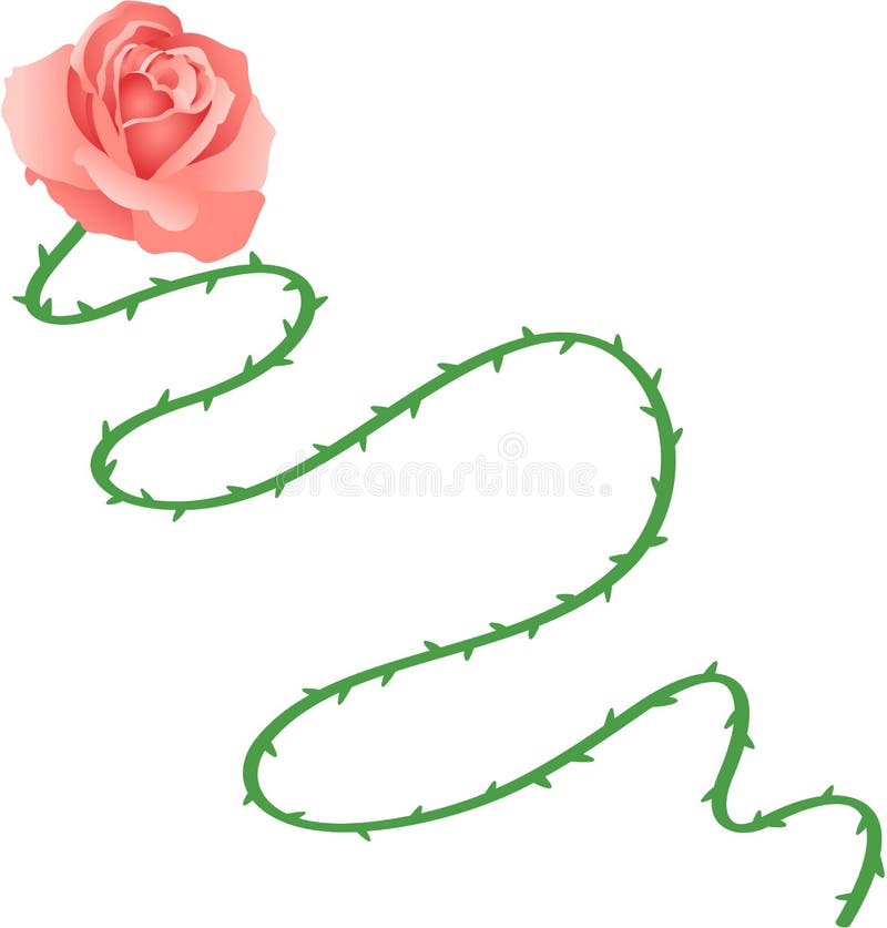 Rose long stem stock vector. Illustration of nature, rose - 68710753