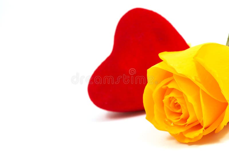 Rose and love stock image. Image of depth, bloom, love - 756797