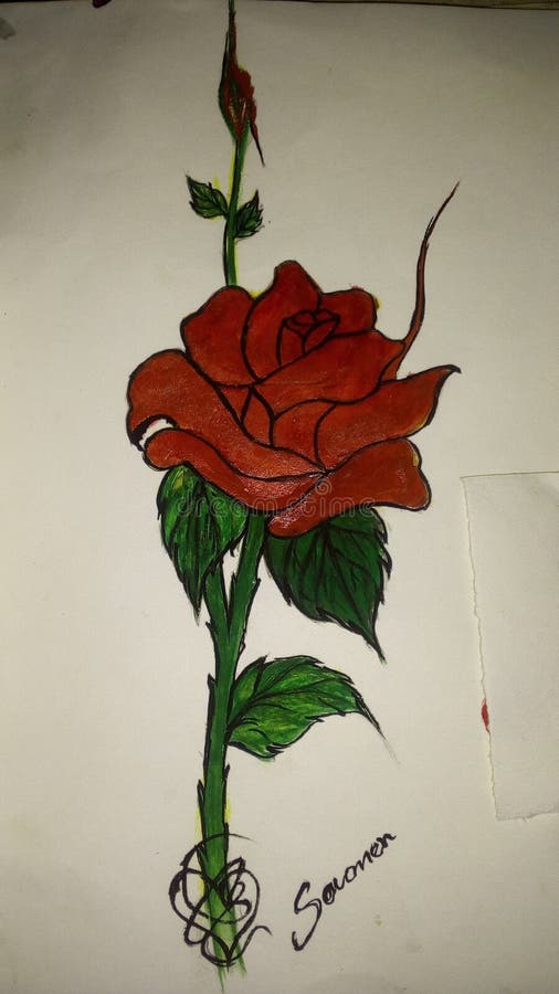 Droing Stock Photos - Free & Royalty-Free Stock Photos from Dreamstime