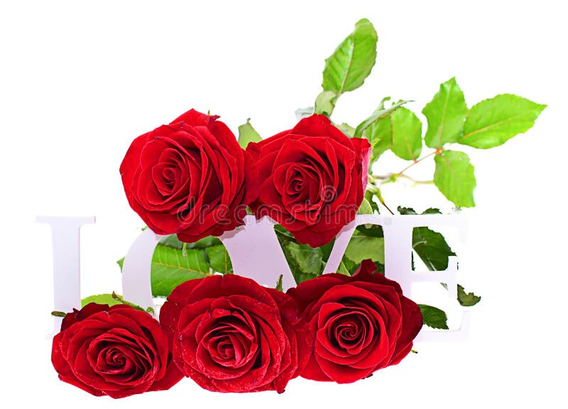 Rose with LOVE Word Isolated on White Background Stock Image - Image of ...
