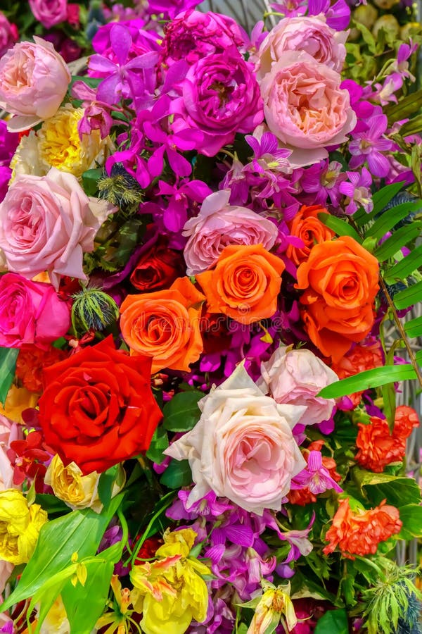 Rose stock photo. Image of bouquet, breezy, flowers - 134225456