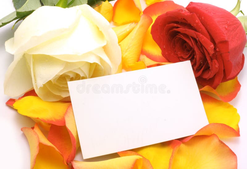Rose and Message on a Petals Stock Photo - Image of sparse, pattern ...