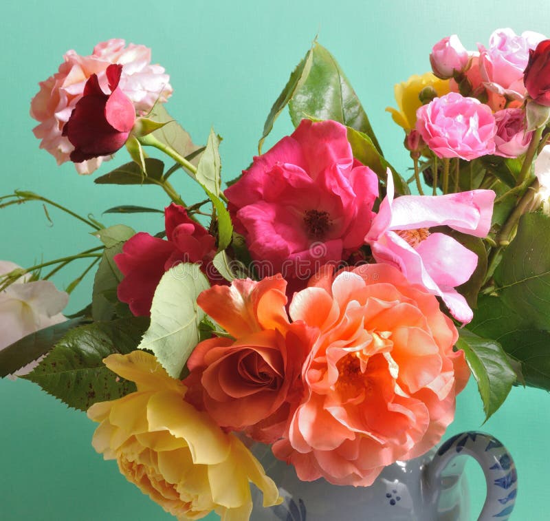 Rose multicolori fotografia stock. Immagine di petali - 135402234