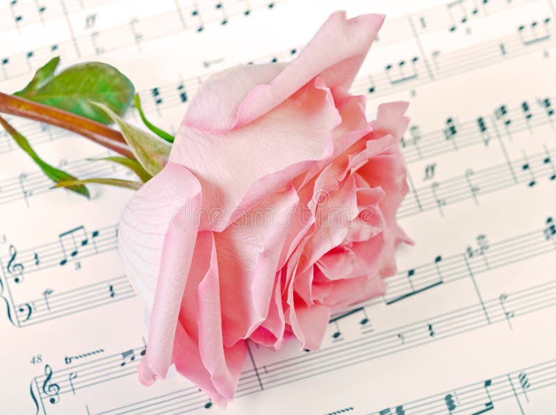 Sheet Music with Rose on Piano Stock Image - Image of note, ivory: 1170761