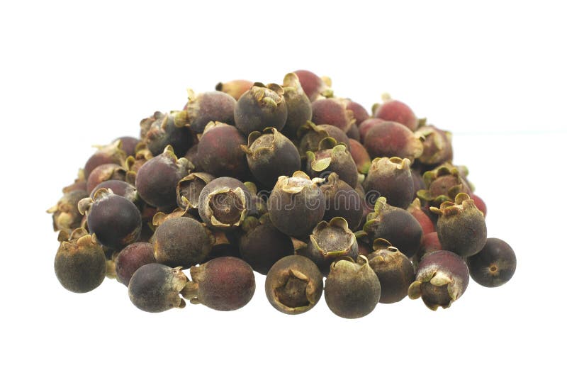 Rose Myrtle or Hill Gooseberry Isolated on White Background Stock Image ...