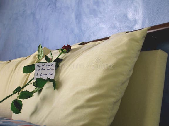 Rose with a note stock photo. Image of mates, handwritten - 981990