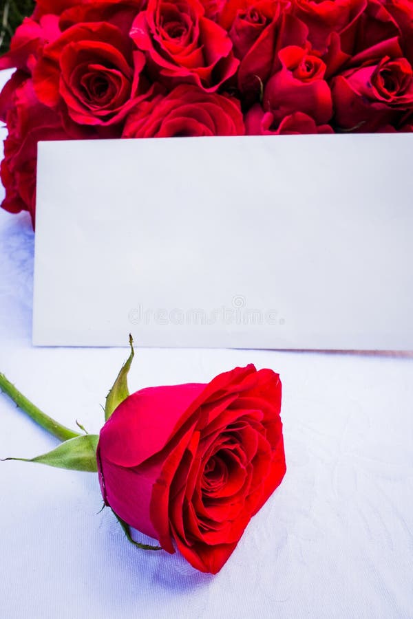 A Rose and Note for Someone Special Stock Photo - Image of affectionate ...
