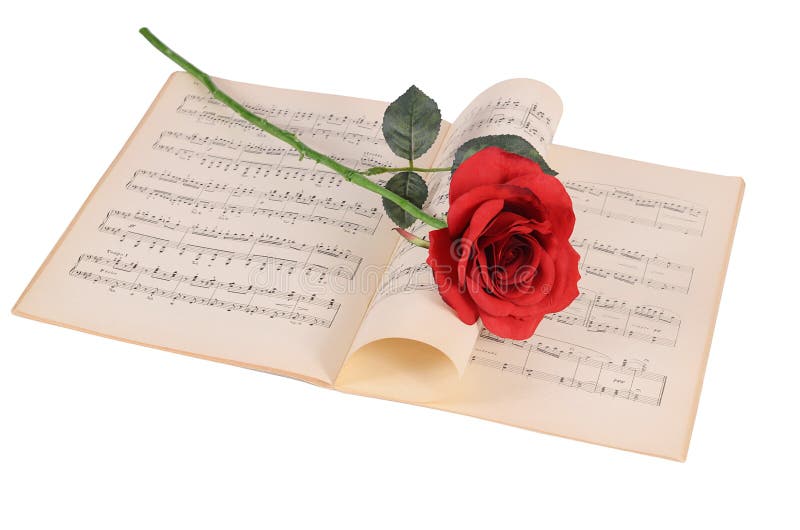 The Rose on Notebooks with Notes Stock Photo - Image of petal, note ...