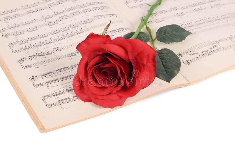 The Rose on Notebooks with Notes Stock Photo - Image of paper, flower ...