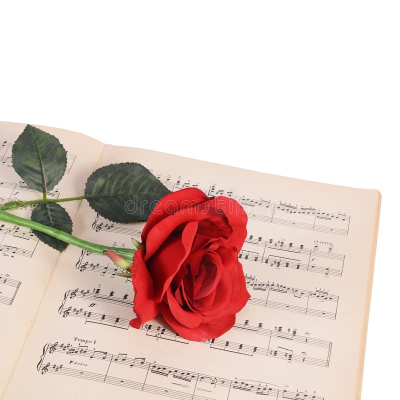 The Rose on Notebooks with Notes Stock Image - Image of arrangement ...